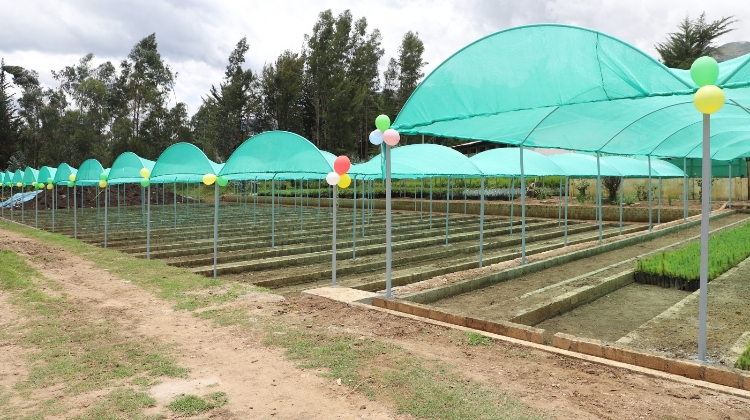 Gobierno Regional Cajamarca