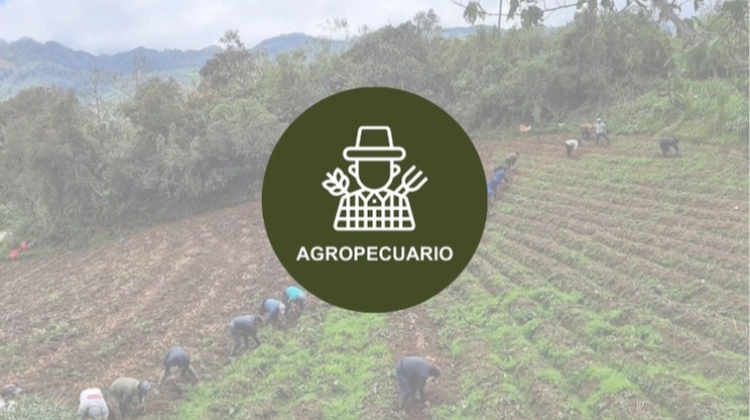 Detalles del Proyecto